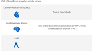 Cardiovascular Disease – Gordon House Surgery